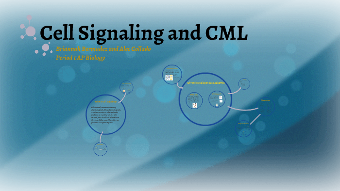 Cell Signaling and CML by Bri B on Prezi