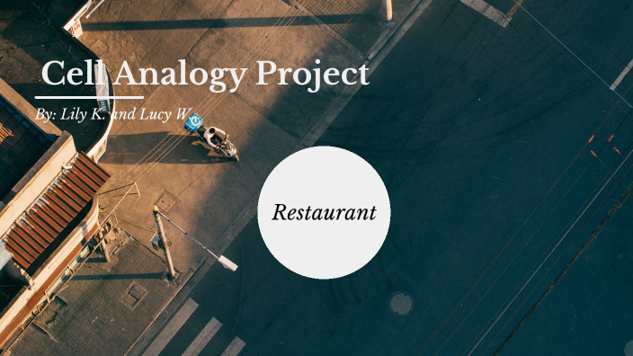 Lily and Lucy : Cell Analogy Project by Lily Kinzler on Prezi