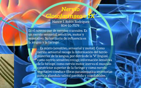Nervio Glosofaríngeo o IX by Nancy Rolon on Prezi