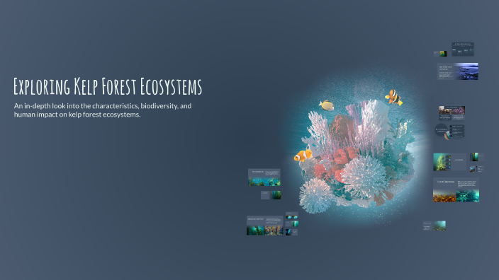 Exploring Kelp Forest Ecosystems by Laeli maingi on Prezi