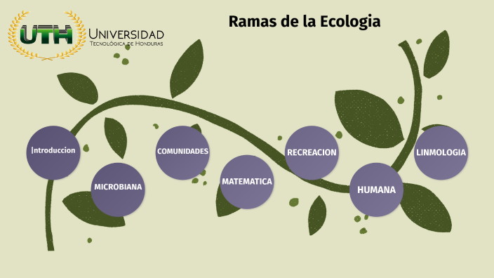 Ramas de la Ecologia by Giah Gennis Bustillo on Prezi