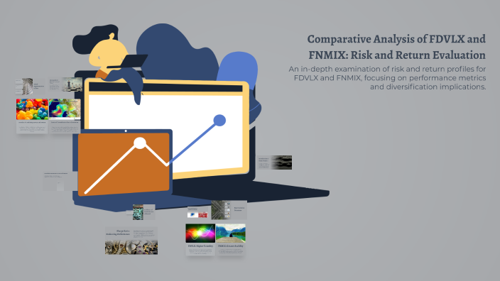 Comparative Analysis of FDVLX and FNMIX: Risk and Return Evaluation by ...