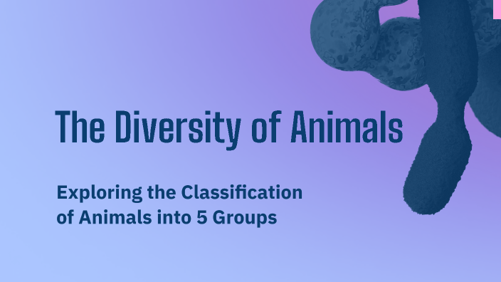 The Diversity of Animals by Sara Mohamed on Prezi