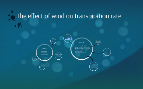 The effect of wind on transpiration rate by Amanda Comer on Prezi