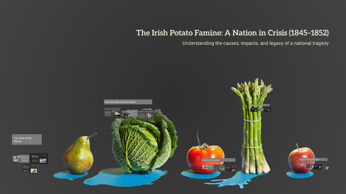 The Irish Potato Famine: A Nation in Crisis (1845–1852) by Tessa McNeil ...