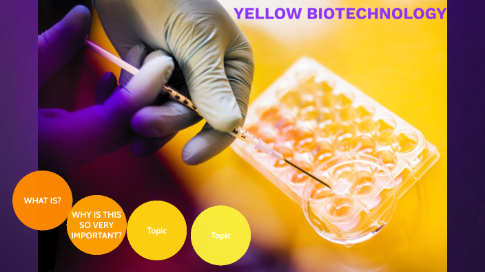 YELLOW BIOTECHNOLOGY by Chiara Liberali on Prezi