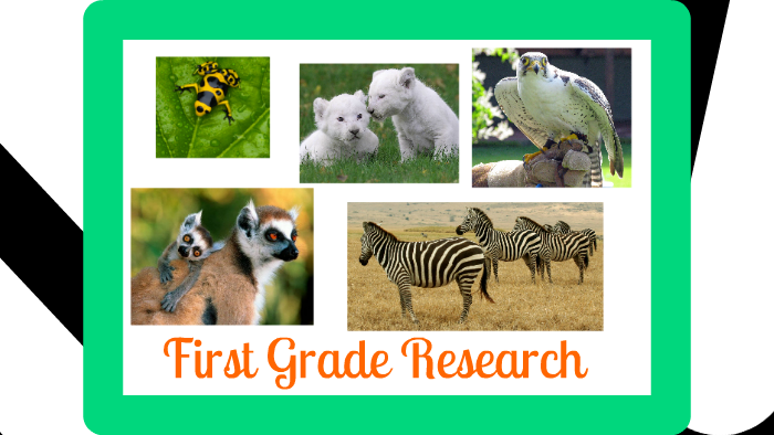 1st Grade Research by Blaire Beathard on Prezi