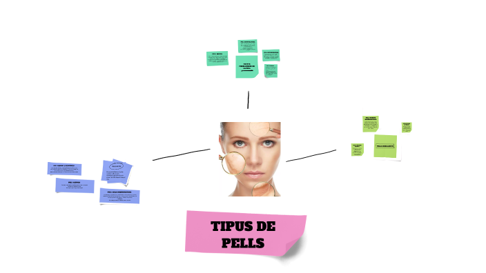 TIPUS DE PELLS by Laia Jordi Caro on Prezi