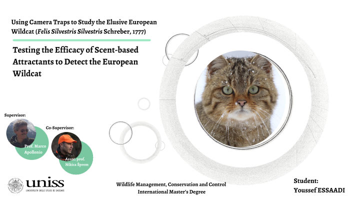 PPT Youssef ESSAADI by Laurea Ahbibi on Prezi