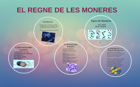 EL REGNE DE LES MONERES by Paula Rivera on Prezi