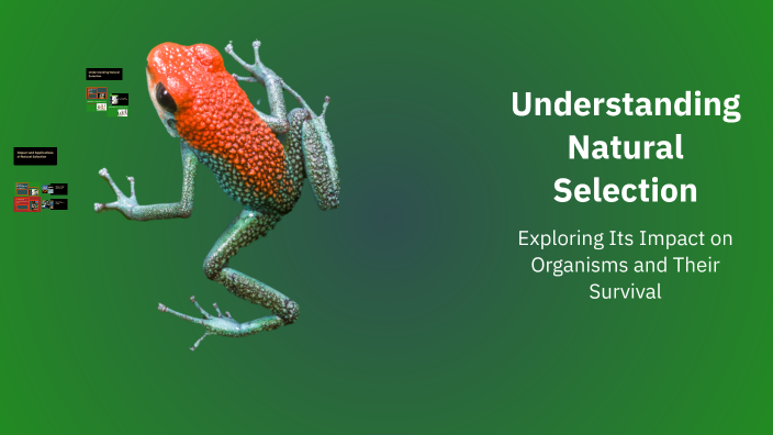 Understanding Natural Selection by Amiya Thompson on Prezi