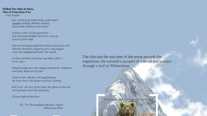 Walked Two Days in Snow, Then It Cleared for Five Visual Essay by Samer ...