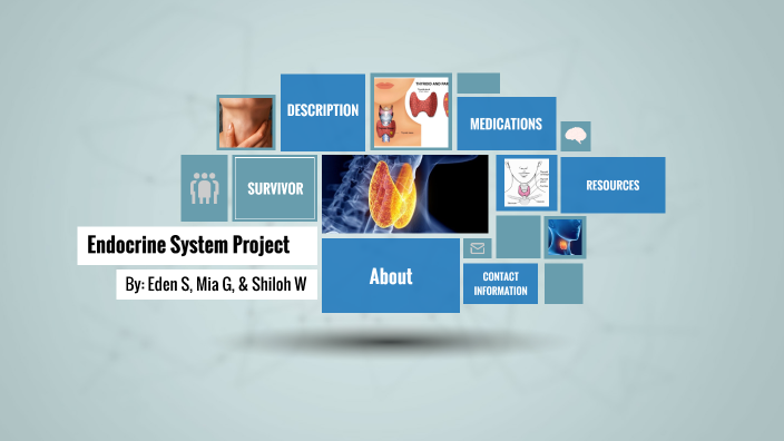 Endocrine System Project - Hashimotos by Eden S (USMAB00380) on Prezi