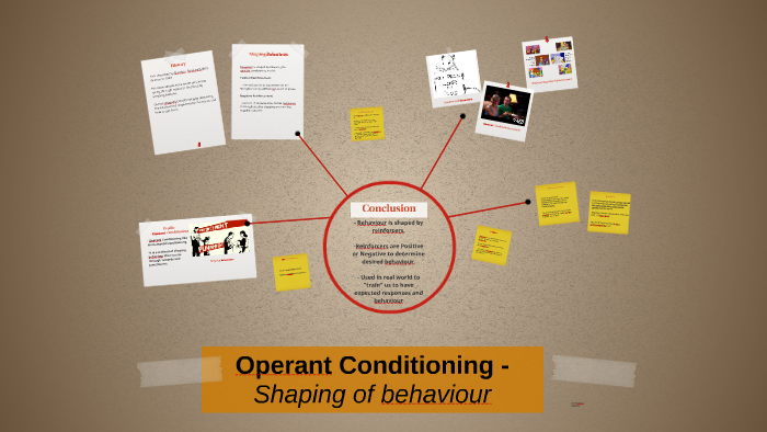 Operant Conditioning -Shaping of behaviour by david egberts on Prezi