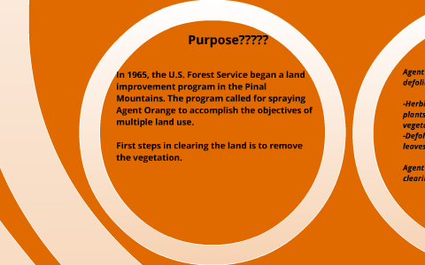 Sustainability- Agent Orange by Allison Denton