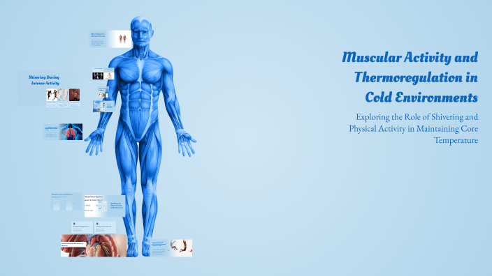 Muscular Activity and Thermoregulation in Cold Environments by Suraksha ...