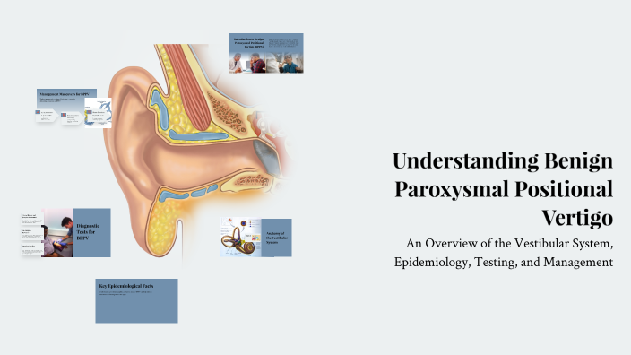 Understanding Benign Paroxysmal Positional Vertigo by rama mustafa on Prezi