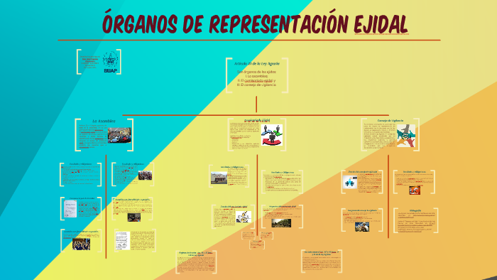 Órganos de Representación Ejidal by Patricia G. on Prezi