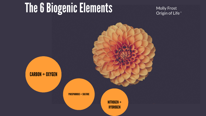 The 6 Biogenic Elements by Molly Frost on Prezi