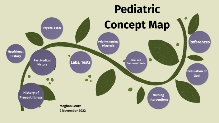 Pediatric Concept Map by Meghan Lentz on Prezi