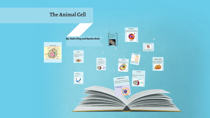 Animal Cell book by katie King on Prezi
