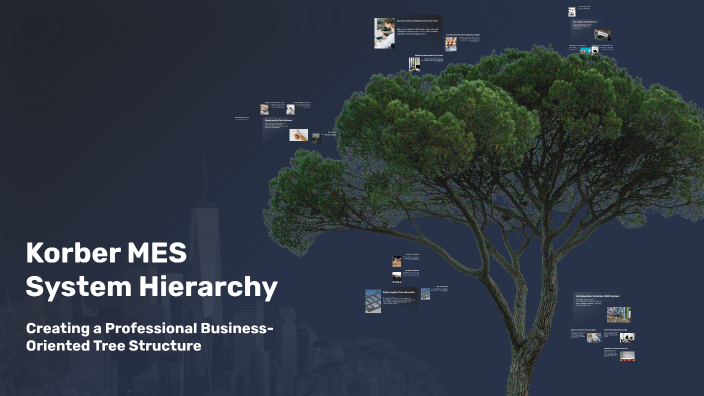 Korber MES System Hierarchy by Alec Schabowsky on Prezi