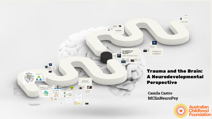 Trauma and the Brain: A Neurodevelopmental Perspective by Maria Camila ...