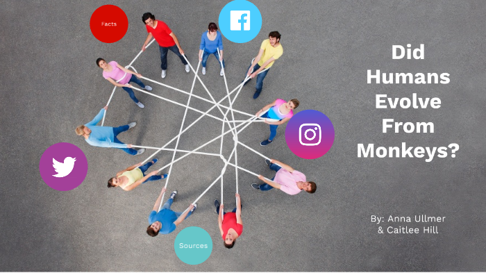 Did Humans Evolve from Monkeys? by Caitlee Hill on Prezi
