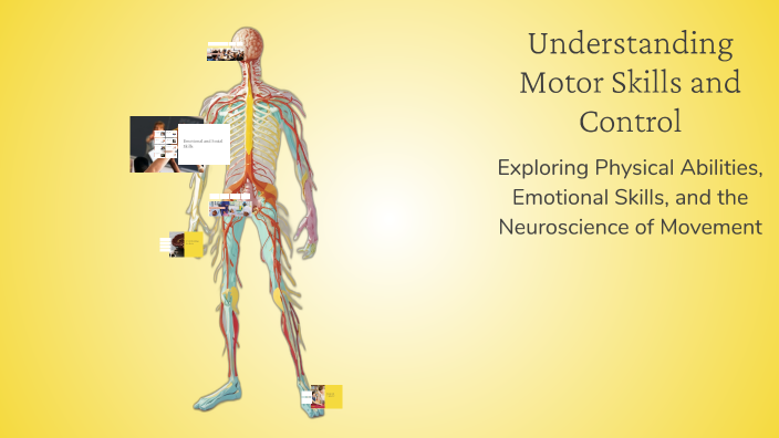 Understanding Motor Skills and Control by Cláudio Bacci on Prezi