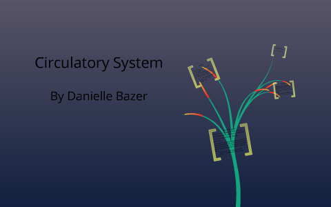 Circulatrory System by Danielle Bazer on Prezi