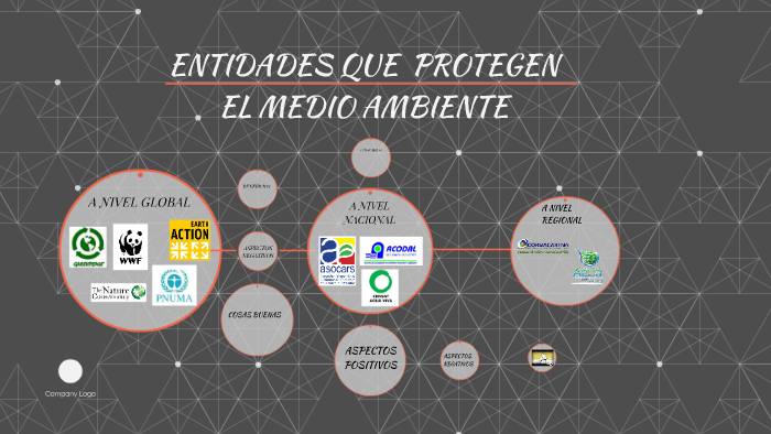 ENTIDADES QUE PROTEGEN EL MEDIO AMBIENTE by Maria fernanda Rojas ...