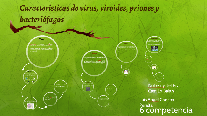 Caracteristicas de virus, viroides, priones y bacteriófagos by luis ...