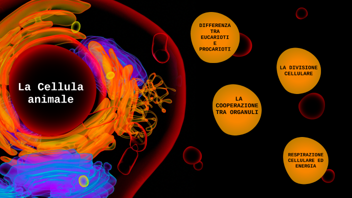 La cellula by SOF SOF on Prezi