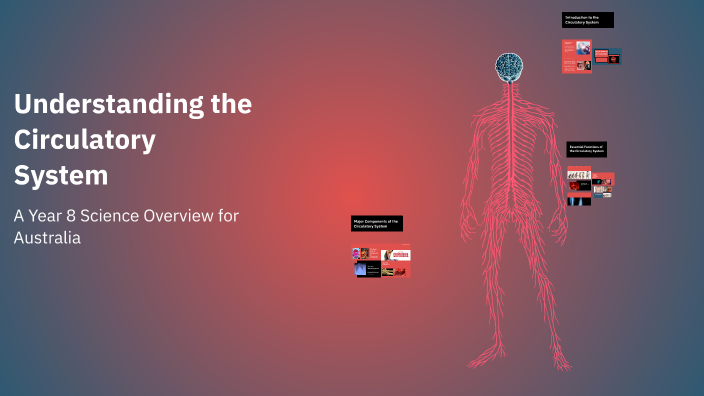 Understanding the Circulatory System by Dom MACLEAN on Prezi