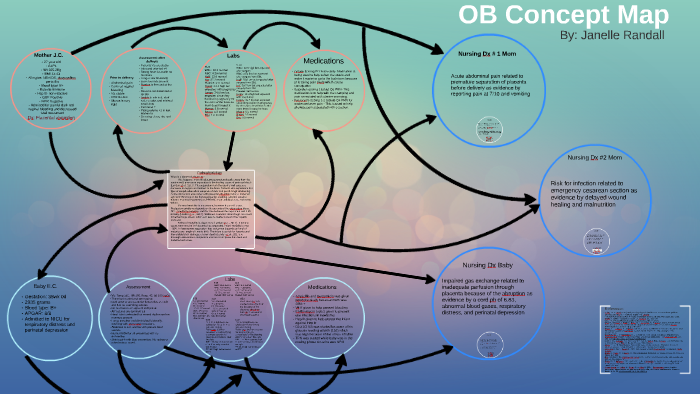 Ob Concept Map by janelle randall on Prezi