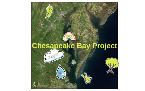 Chesapeake Bay Project by Amanda Conrad on Prezi