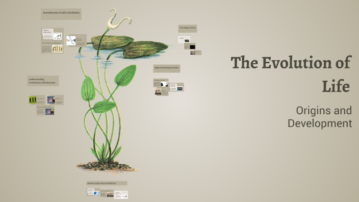 The Evolution of Life by Moghadseh Soltani K Allmän kurs Steg 2 on Prezi