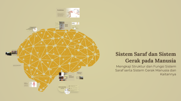 Sistem Saraf dan Sistem Gerak pada Manusia by Fanesya Aulia Lisdiani on ...
