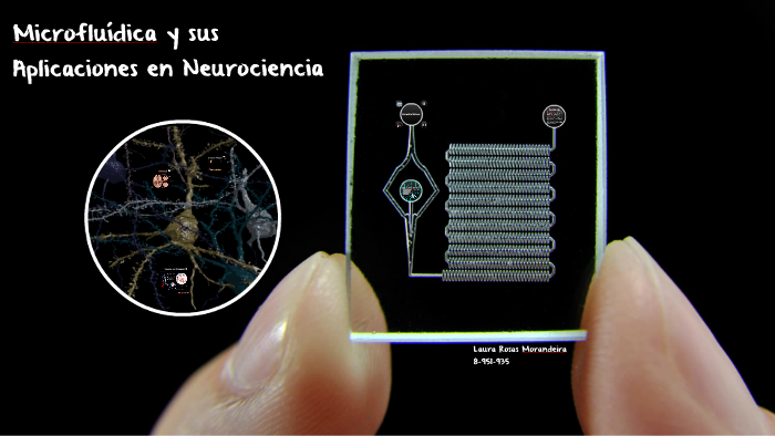 Microfluídica y sus Aplicaciones en Neurociencia by Usuario Universidad ...