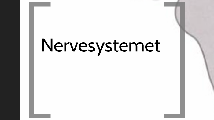 Nervesystemet by dina donvild on Prezi