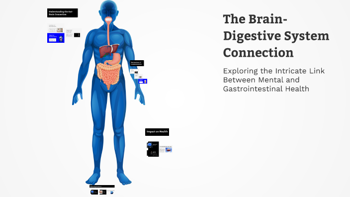 The Brain-Digestive System Connection by K. Lianne on Prezi