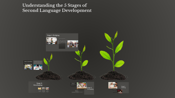 Understanding the 5 Stages of Second Language Development by Kimberly ...