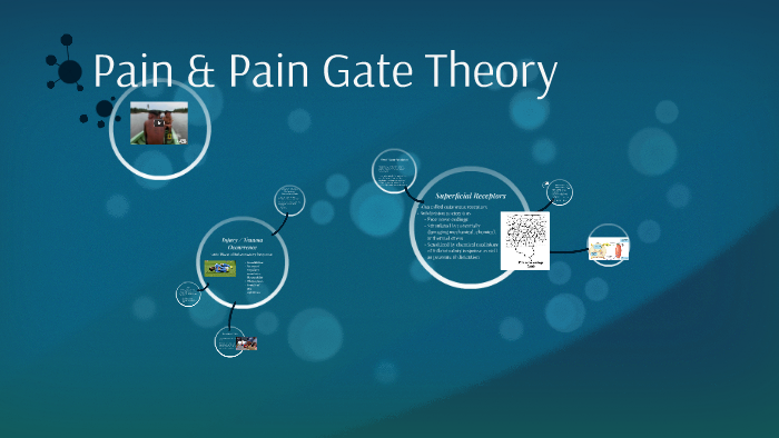Pain & Pain Gate Theory by Mark Williams on Prezi