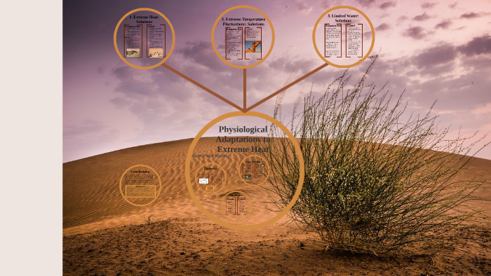 Physiological Adaptations to Extreme Heat by Felipe Castro on Prezi