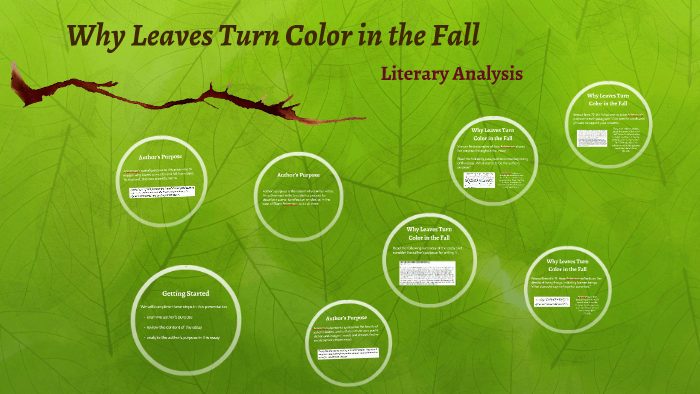 Why Leaves Turn Color in the Fall (Author's Purpose) by Jennifer ...
