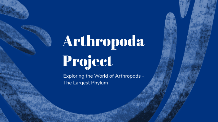 Arthropoda Project by AJ Stone on Prezi