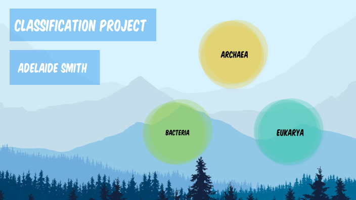 Adelaide Smith Classification Project by Adelaide Smith on Prezi
