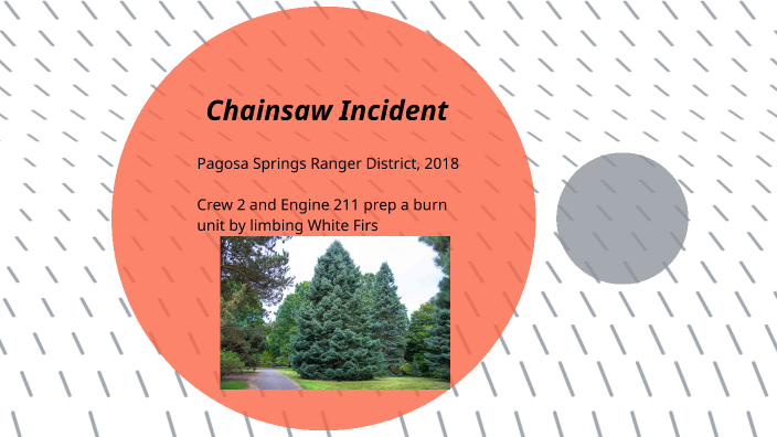 Lessons Learned by Danielle Swope on Prezi