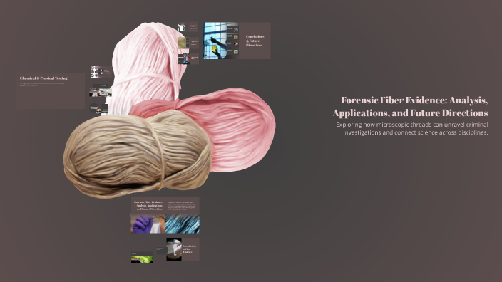 Forensic Fiber Evidence: Analysis, Applications, and Future Directions ...