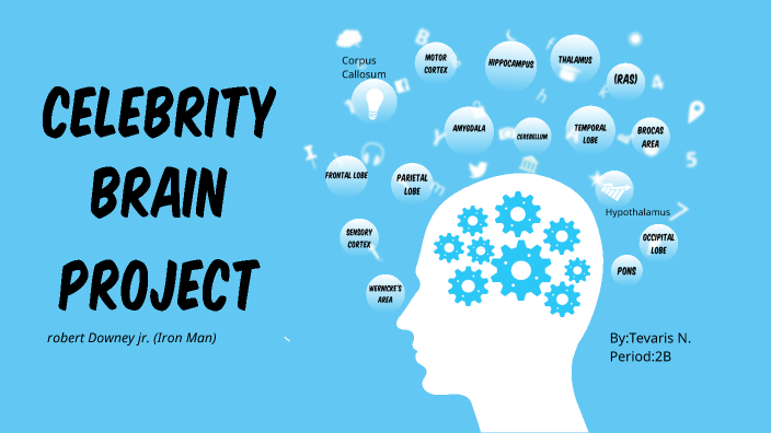 Celebrity brain project by Brittani Neidecker on Prezi